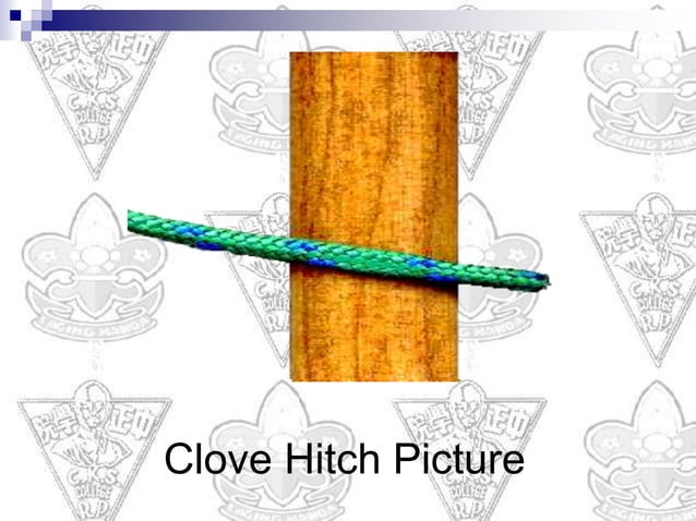 basic knot tying re uploaded file to download | PPT