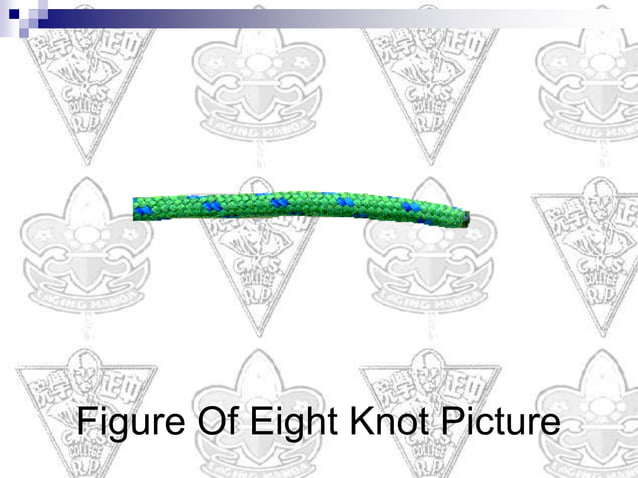 basic knot tying re uploaded file to download | PPT