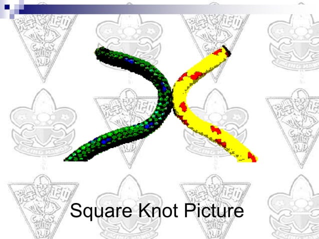 basic knot tying re uploaded file to download | PPT