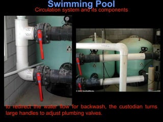 137973189-Swimming-Pool-Presentation.ppt