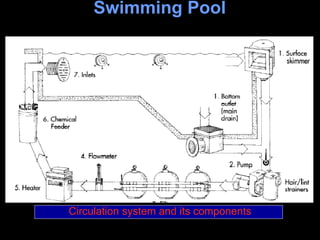 137973189-Swimming-Pool-Presentation.ppt | Bath and Shower | Personal Care