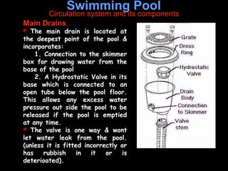 137973189-Swimming-Pool-Presentation.ppt | Bath and Shower | Personal Care