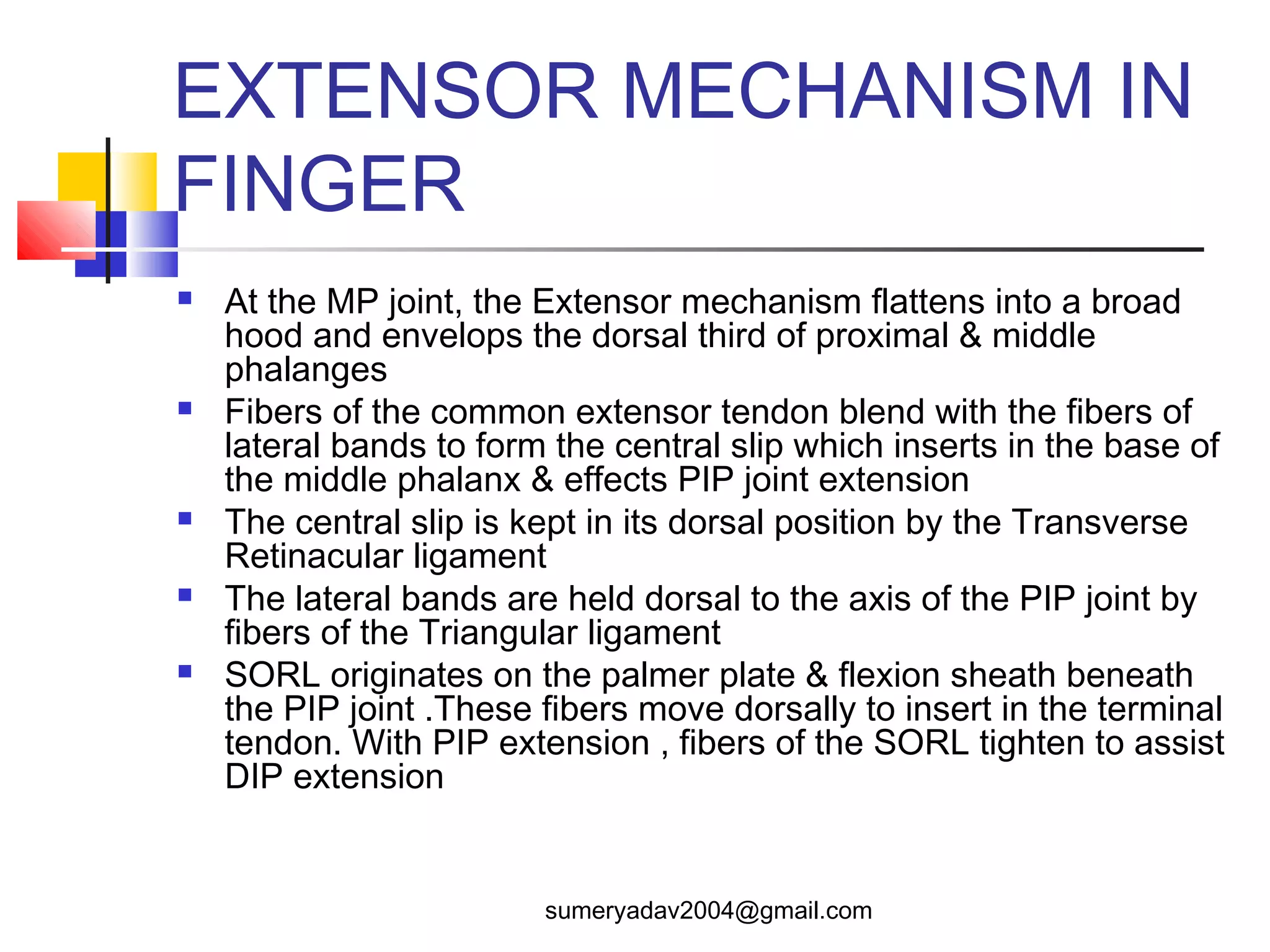 extensor tendons injury and deformity | PPT