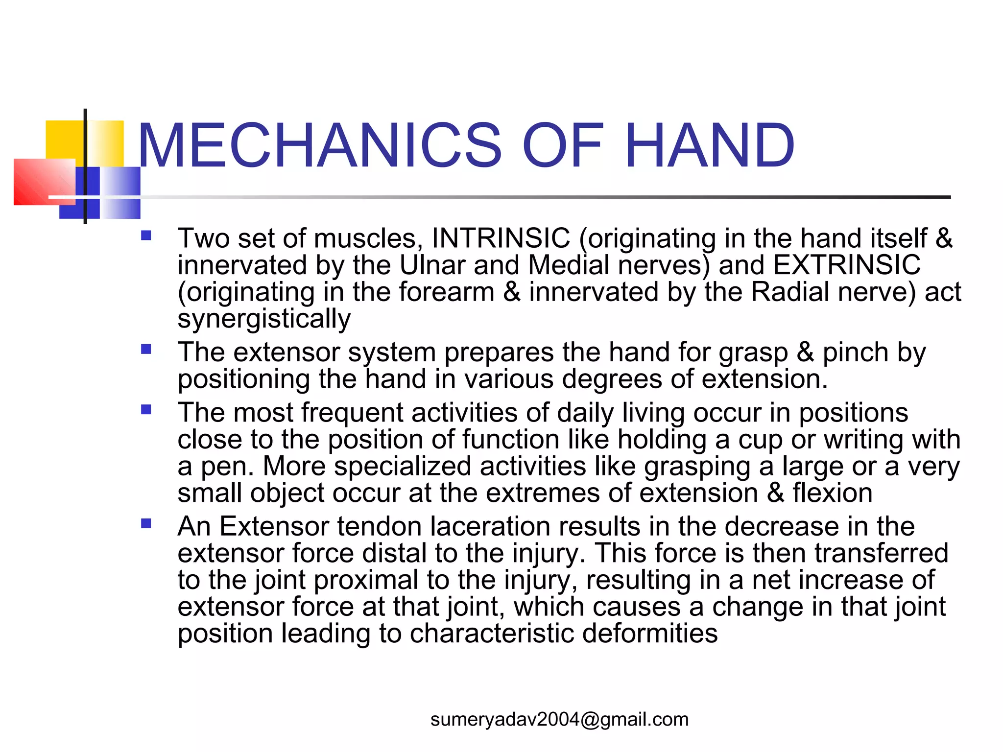 extensor tendons injury and deformity | PPT