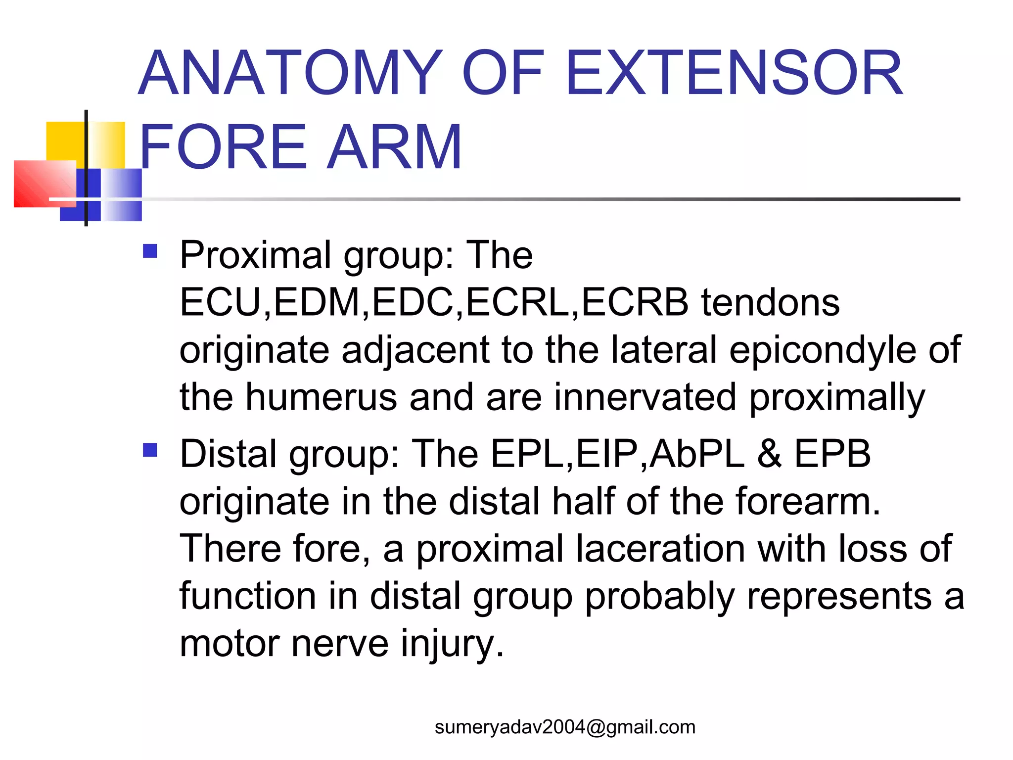 extensor tendons injury and deformity | PPT