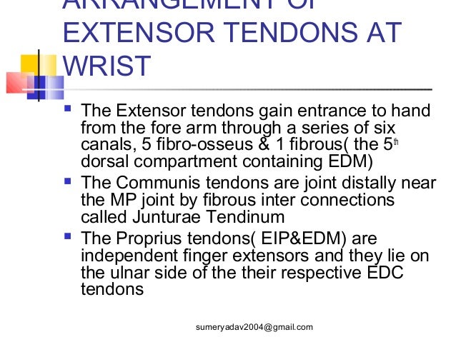 extensor tendons injury and deformity