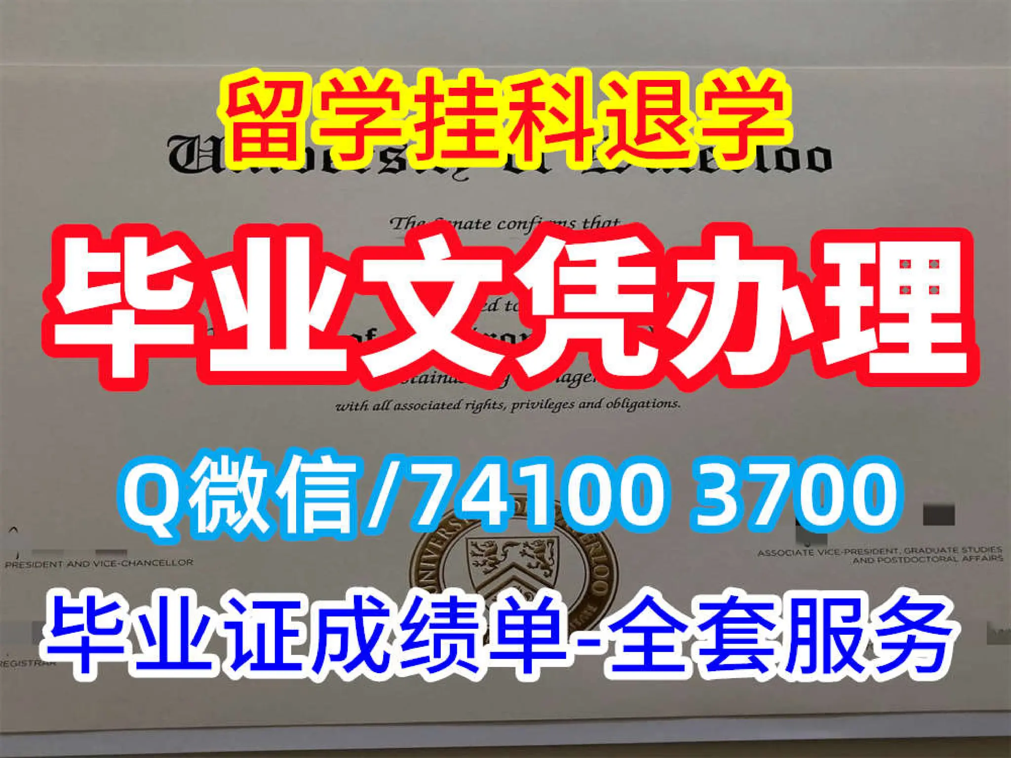 Barcelona Degree certificate | PDF