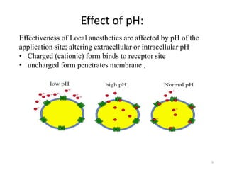 ANESTESICOS LOCALES | PPT