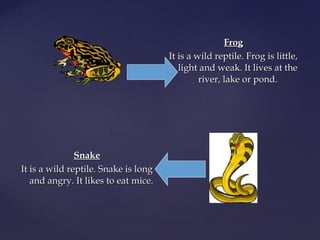 wild and domestic animals | PPT