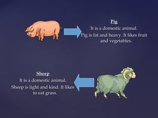 wild and domestic animals | PPT