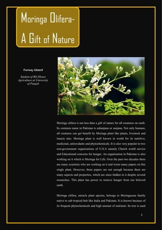 the broken environmentalist | PDF