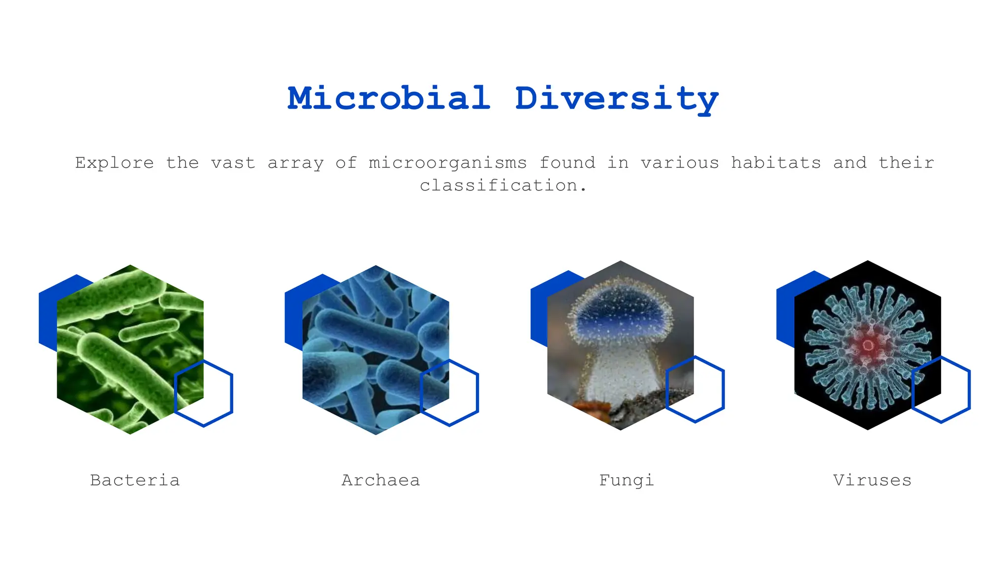 13885-Microbiology PowerPoint Presentation.pptx