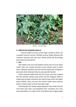 138 budidaya kacang kedelai | PDF