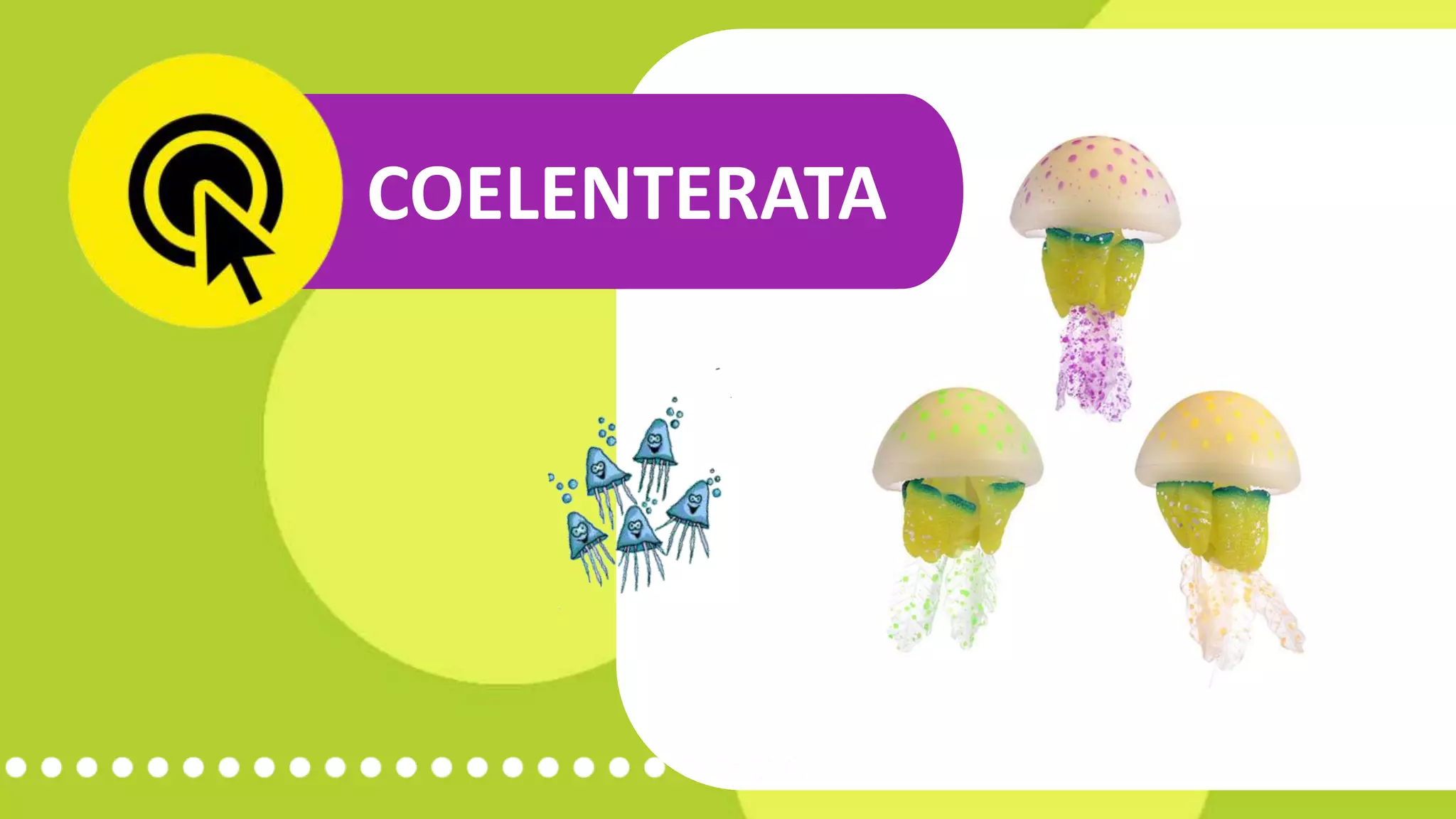 organ gerak hewan dan manusia - mengenal hewan avertebrata | smartpoint ...