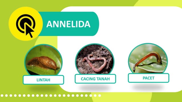 organ gerak hewan dan manusia - mengenal hewan avertebrata | smartpoint ...