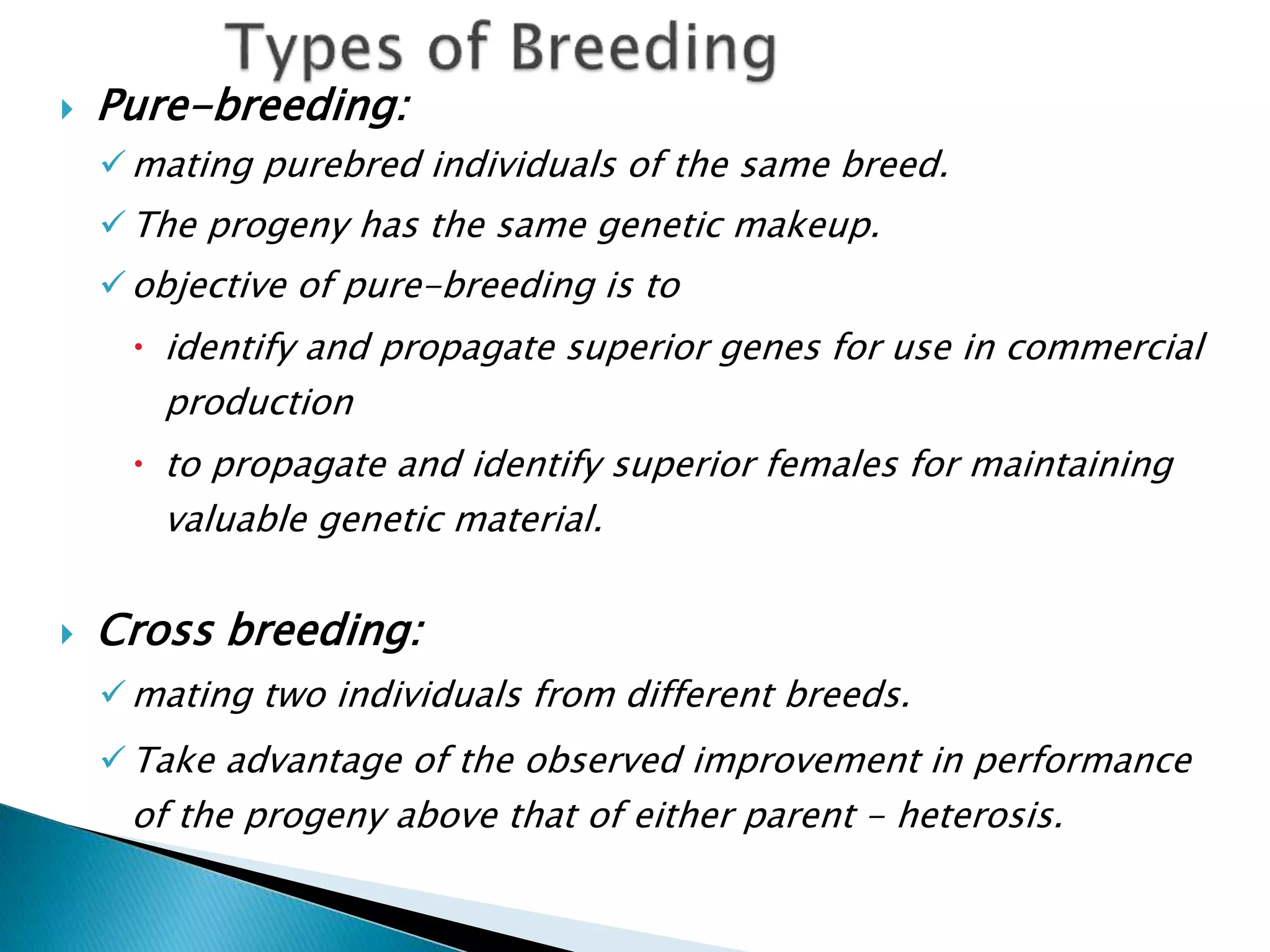 PIGGERY ALL DETAIL | PPTX