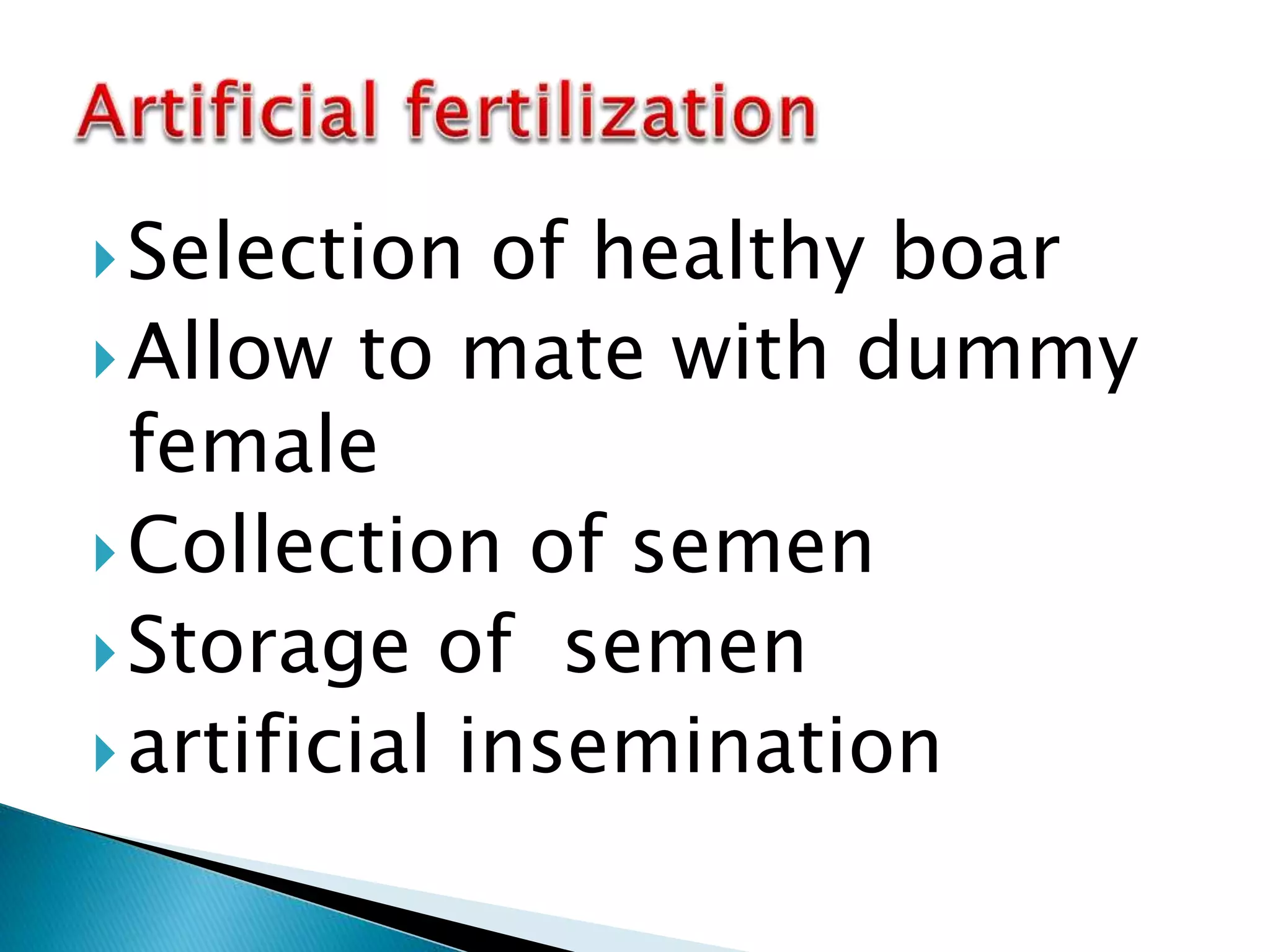 PIGGERY ALL DETAIL | PPTX