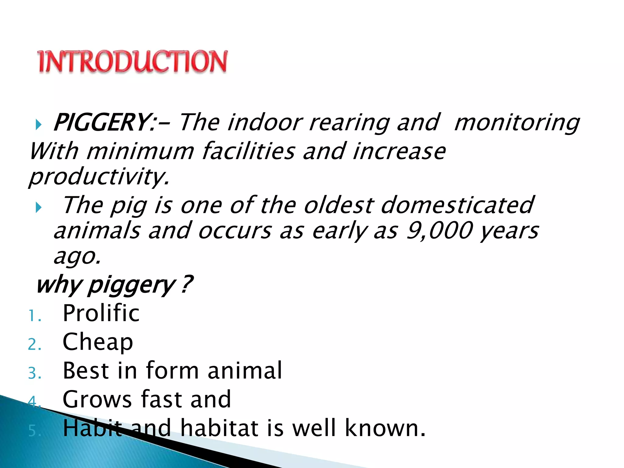 PIGGERY ALL DETAIL | PPTX