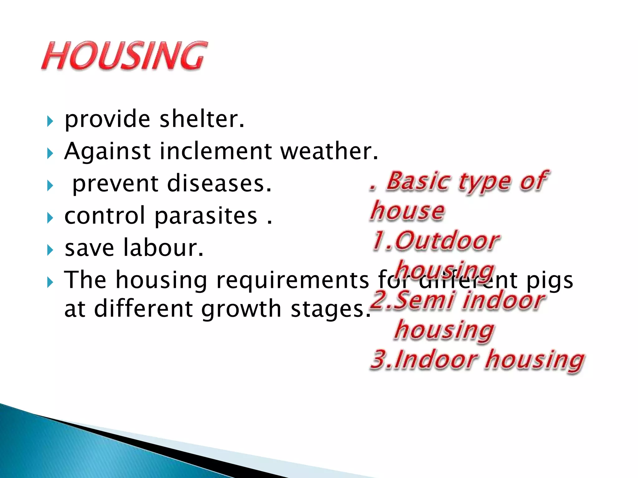 PIGGERY ALL DETAIL | PPTX