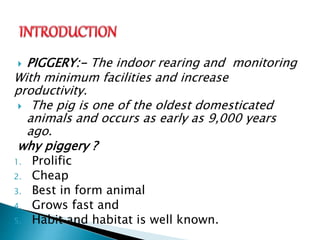 PIGGERY ALL DETAIL | PPTX