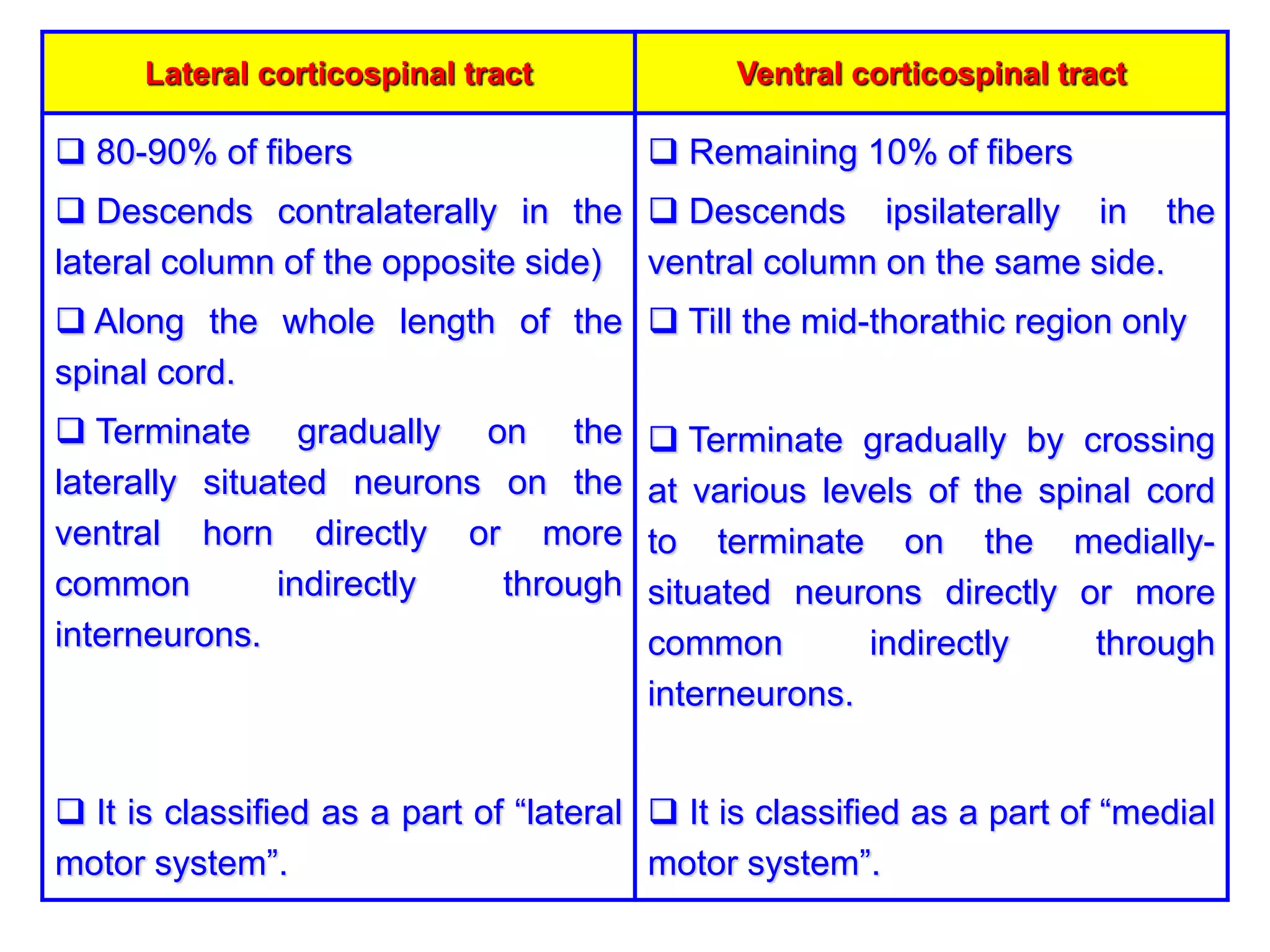 pyramidal, extrapyramidal pathways | PPT