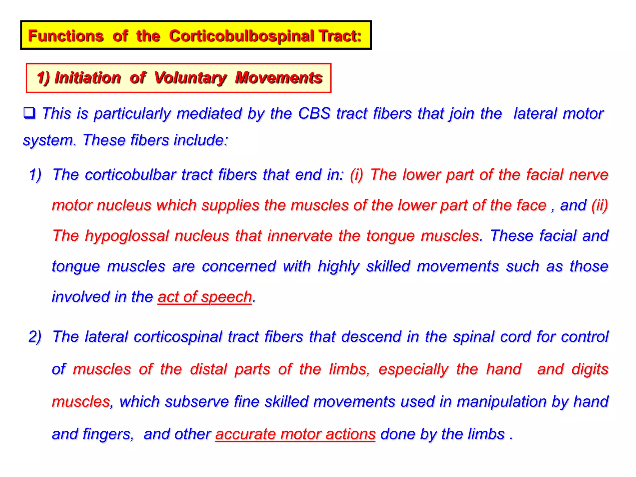 pyramidal, extrapyramidal pathways | PPT