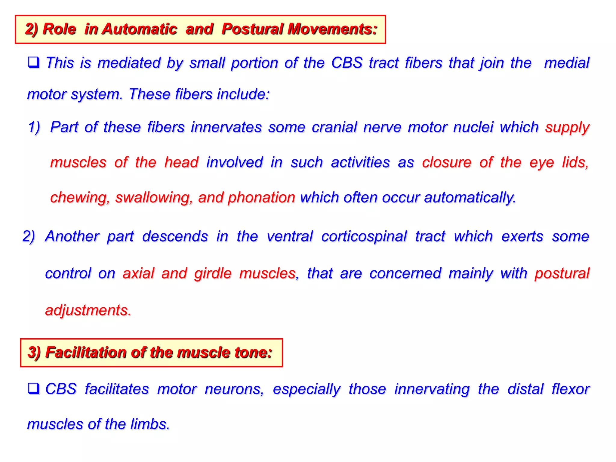 pyramidal, extrapyramidal pathways | PPT