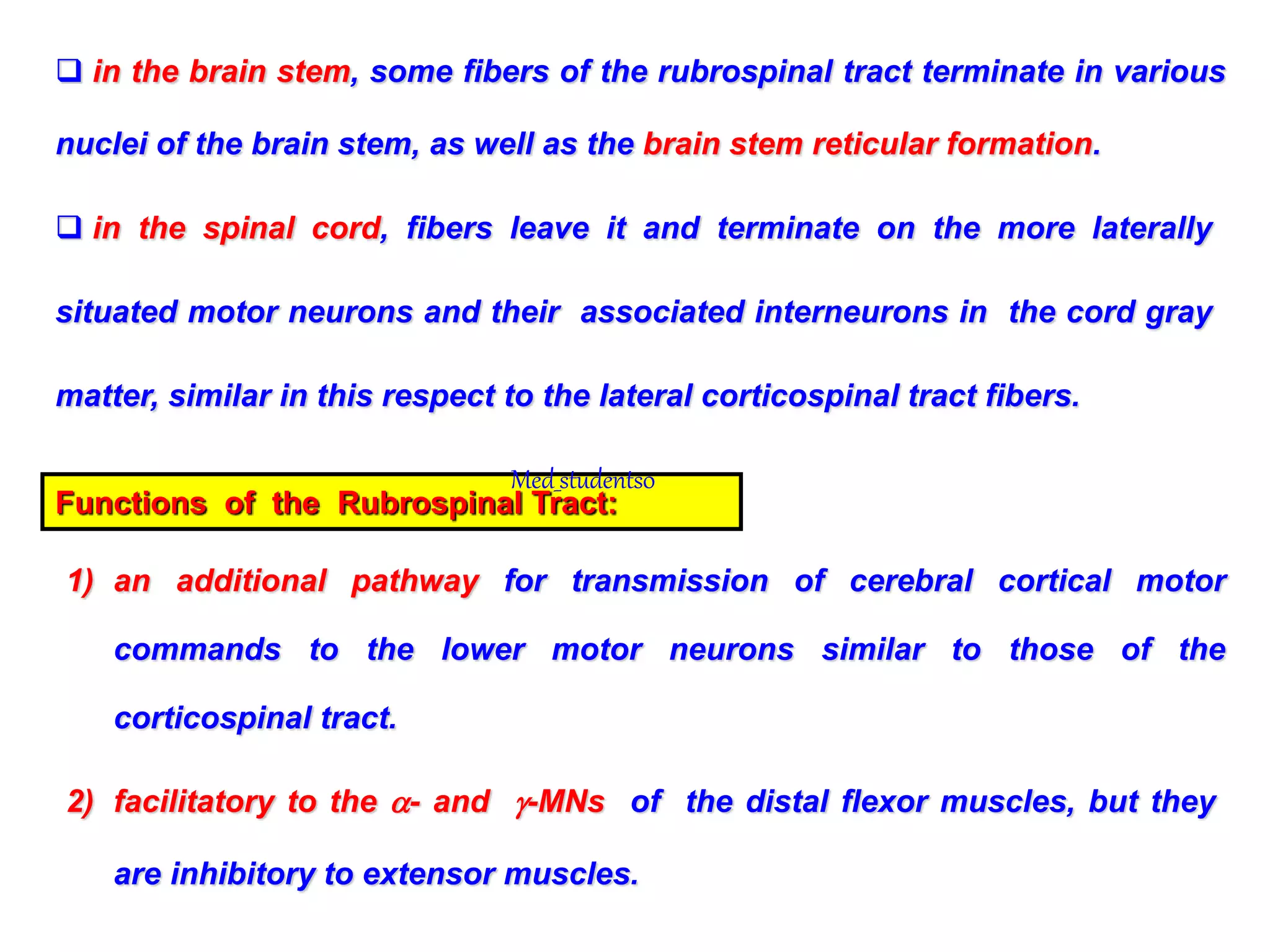 pyramidal, extrapyramidal pathways | PPT