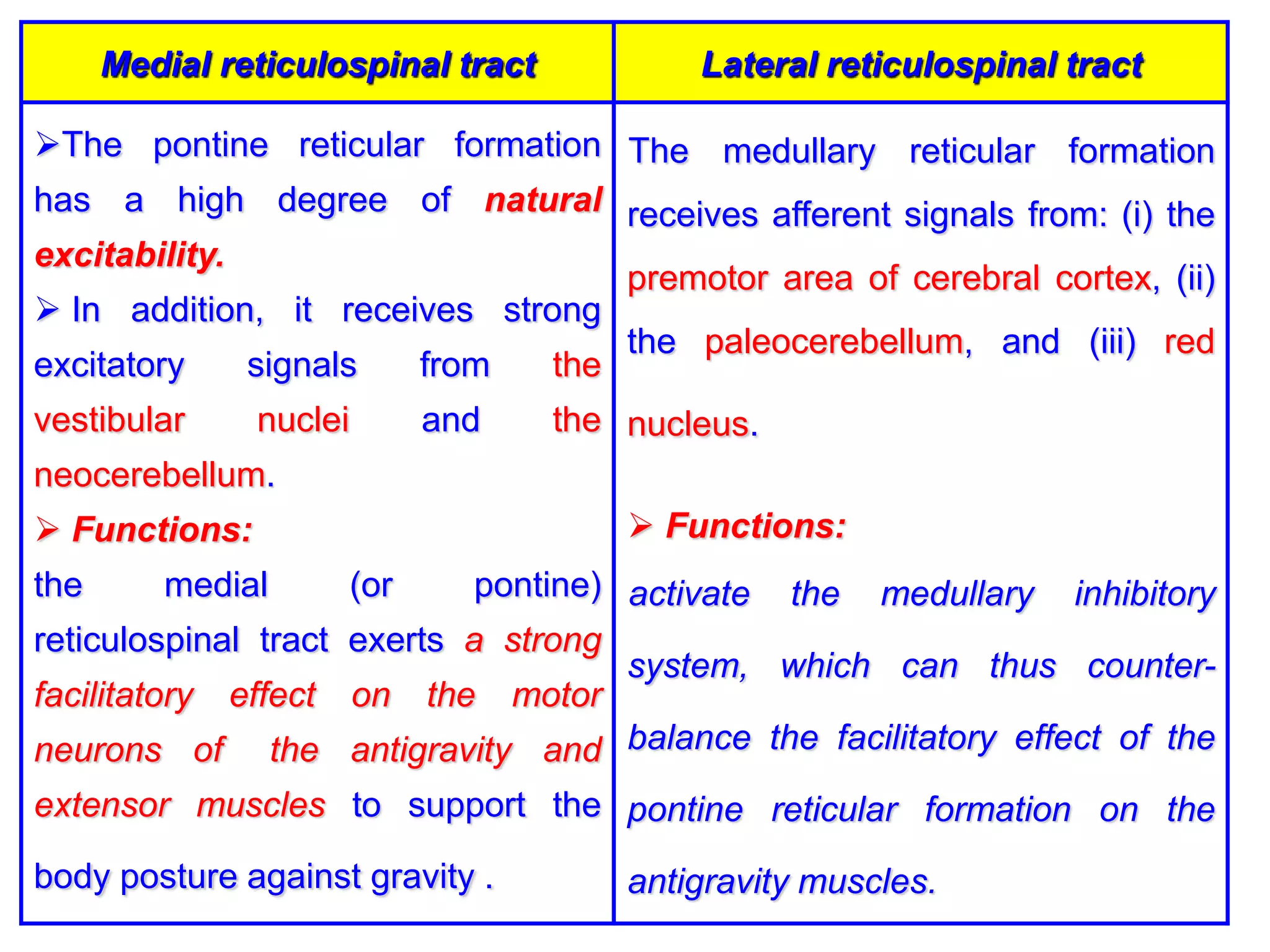 pyramidal, extrapyramidal pathways | PPT