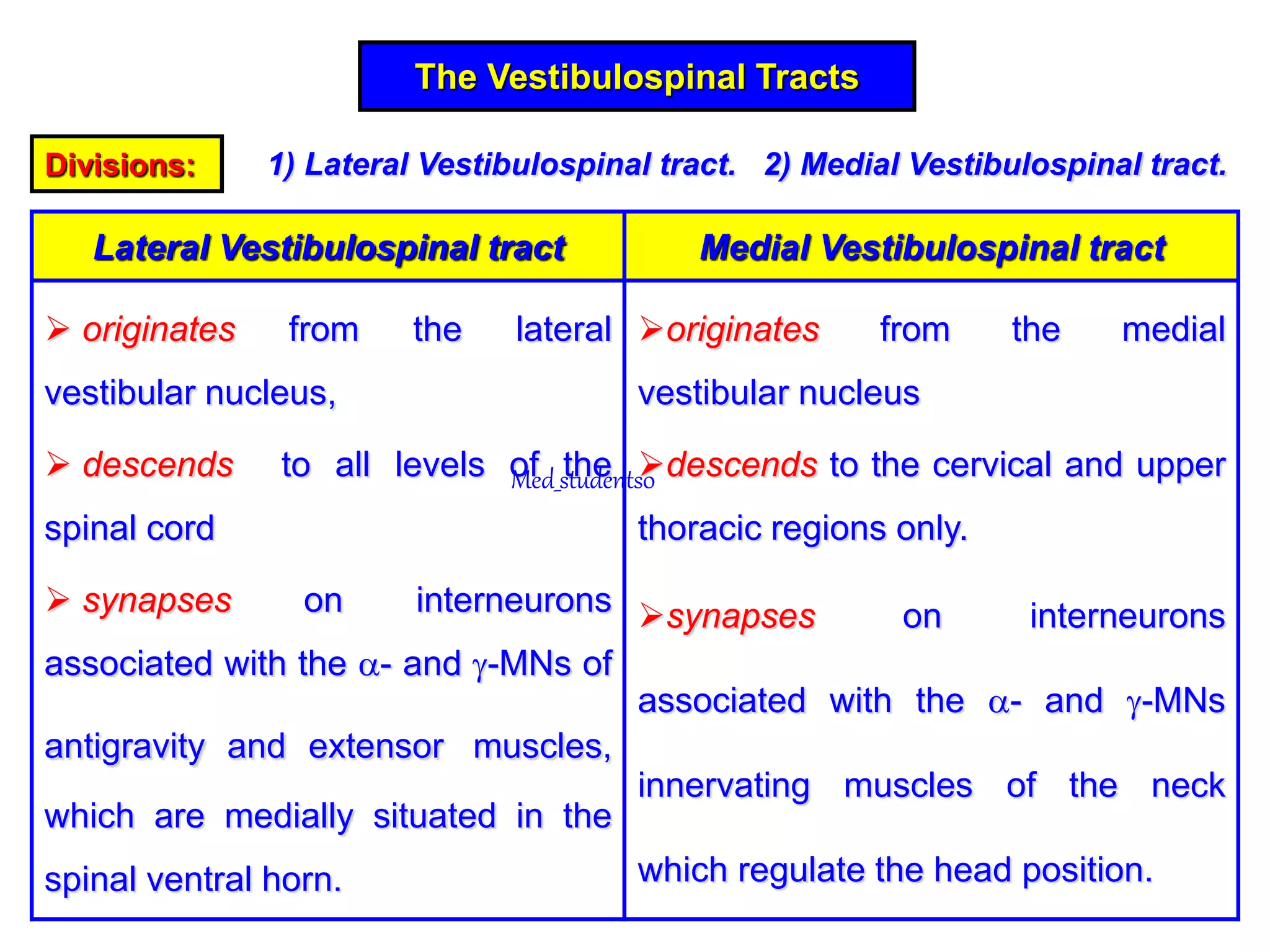 pyramidal, extrapyramidal pathways | PPT