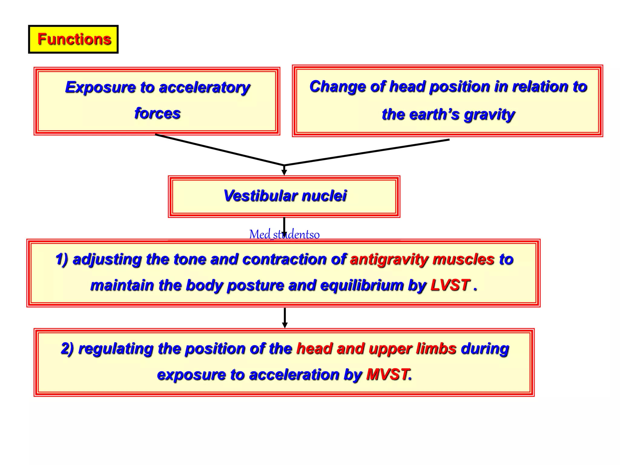 pyramidal, extrapyramidal pathways | PPT