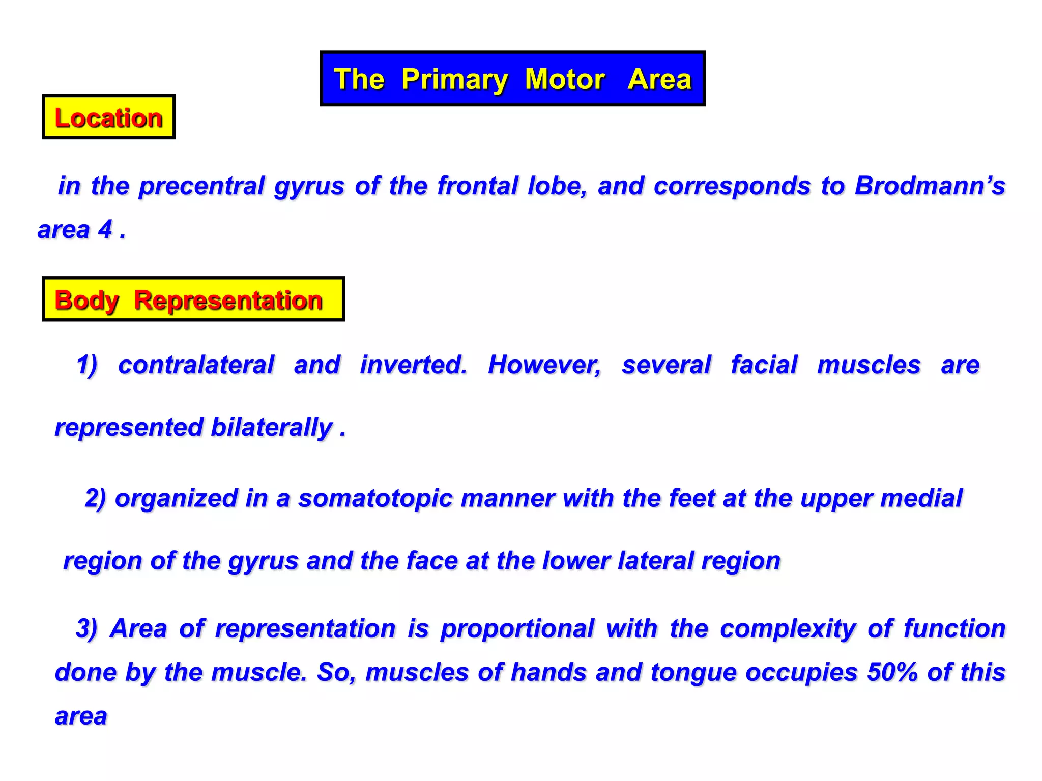 pyramidal, extrapyramidal pathways | PPT