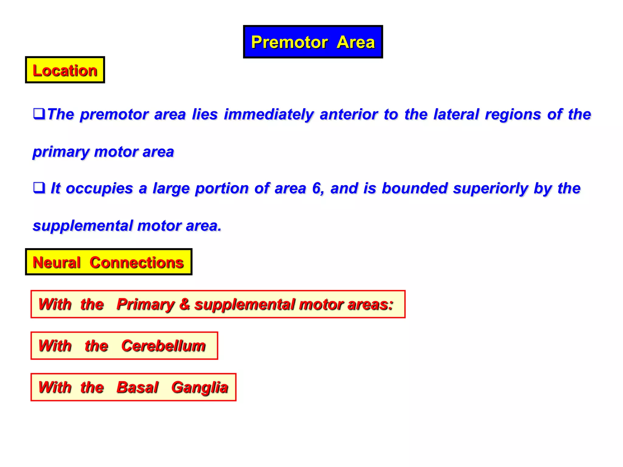 pyramidal, extrapyramidal pathways | PPT