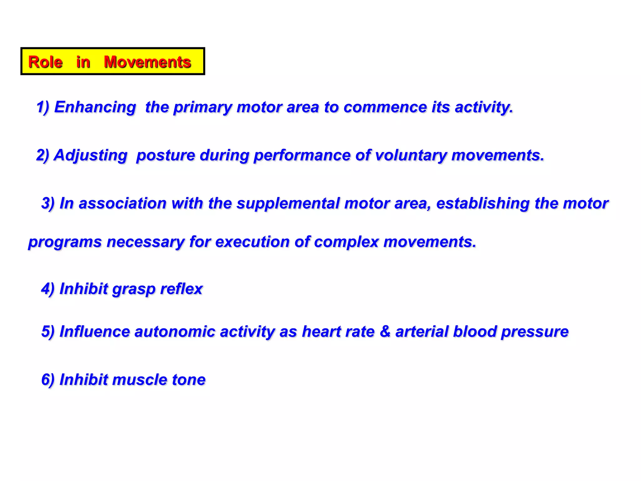 pyramidal, extrapyramidal pathways | PPT