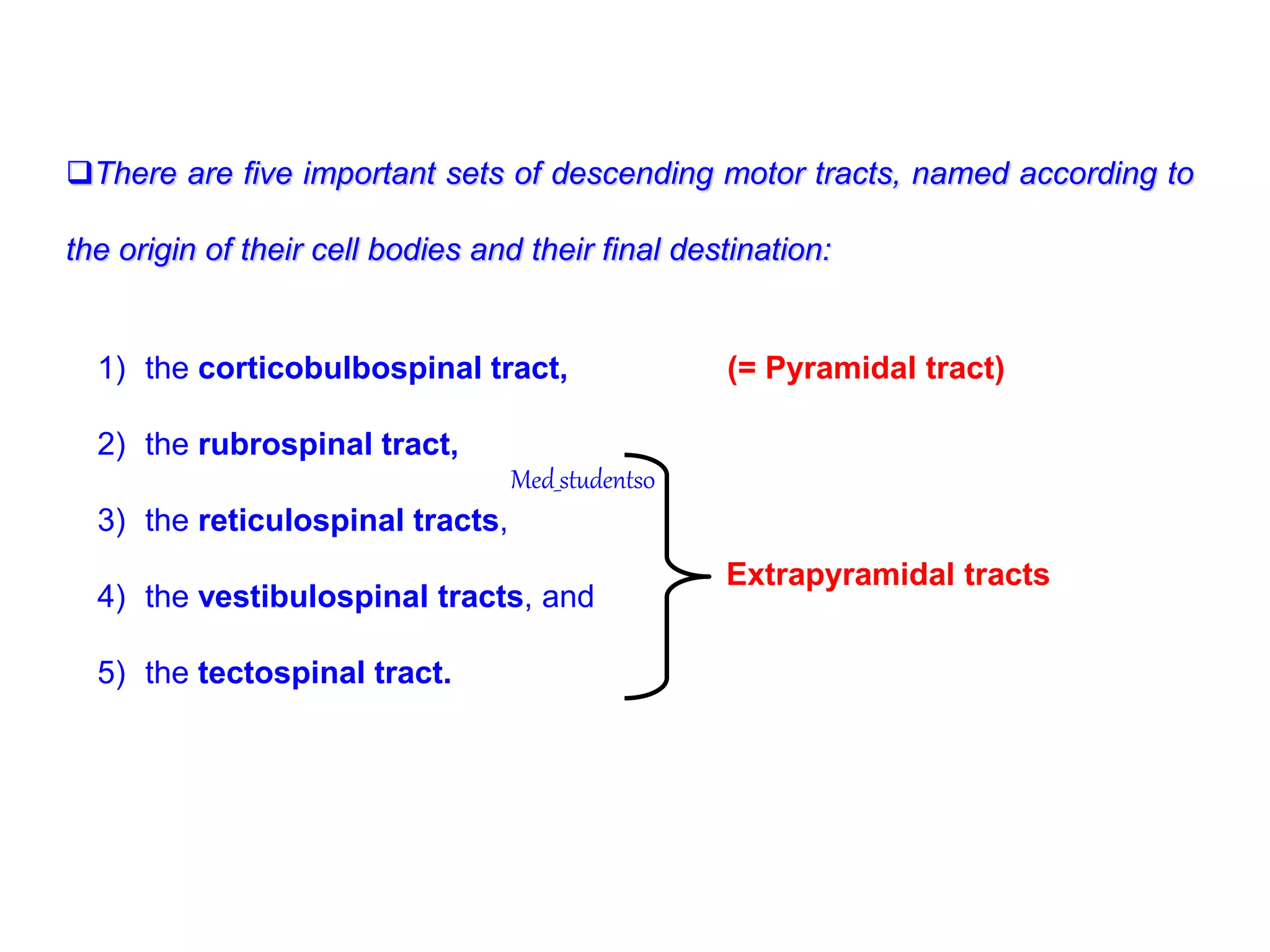pyramidal, extrapyramidal pathways | PPT