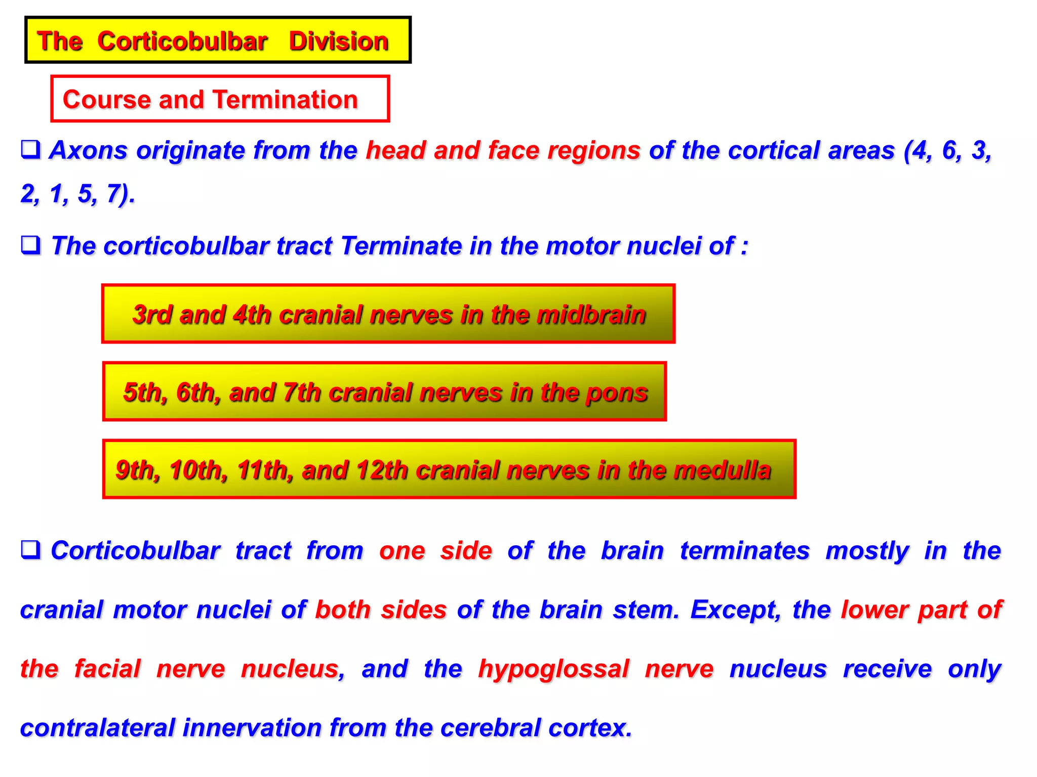 pyramidal, extrapyramidal pathways | PPT