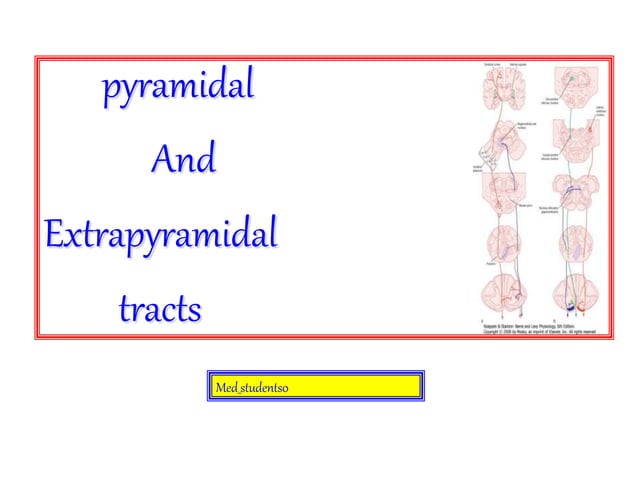 pyramidal, extrapyramidal pathways | PPT