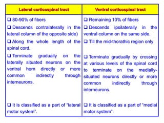 pyramidal, extrapyramidal pathways | PPT