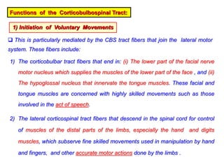 pyramidal, extrapyramidal pathways | PPT