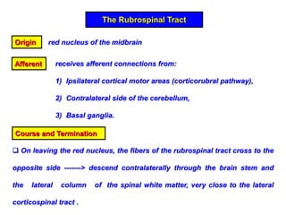 pyramidal, extrapyramidal pathways | PPT