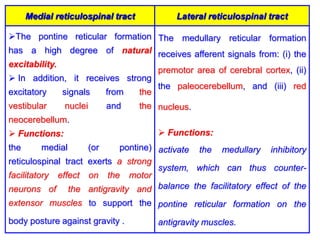 pyramidal, extrapyramidal pathways | PPT