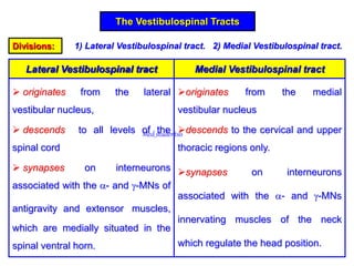 pyramidal, extrapyramidal pathways | PPT