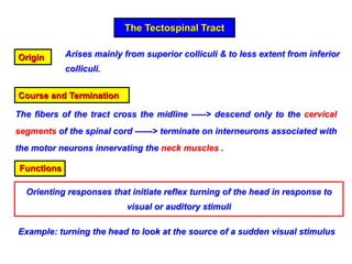 pyramidal, extrapyramidal pathways | PPT
