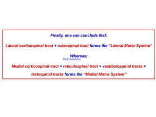 pyramidal, extrapyramidal pathways | PPT