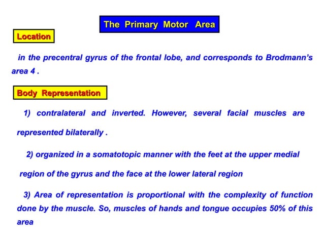 pyramidal, extrapyramidal pathways | PPT