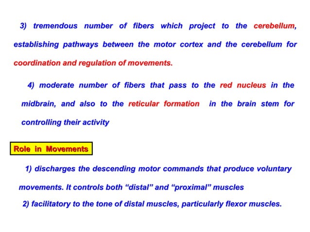 pyramidal, extrapyramidal pathways | PPT