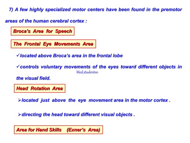 pyramidal, extrapyramidal pathways | PPT