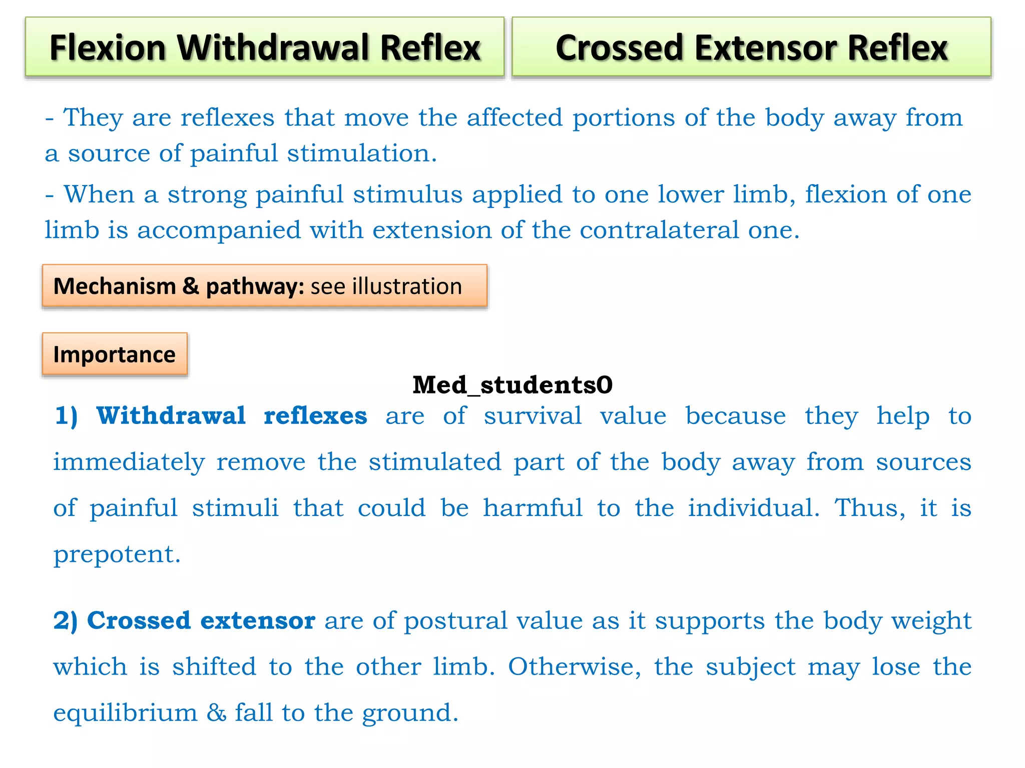 Human reflexes | PPTX