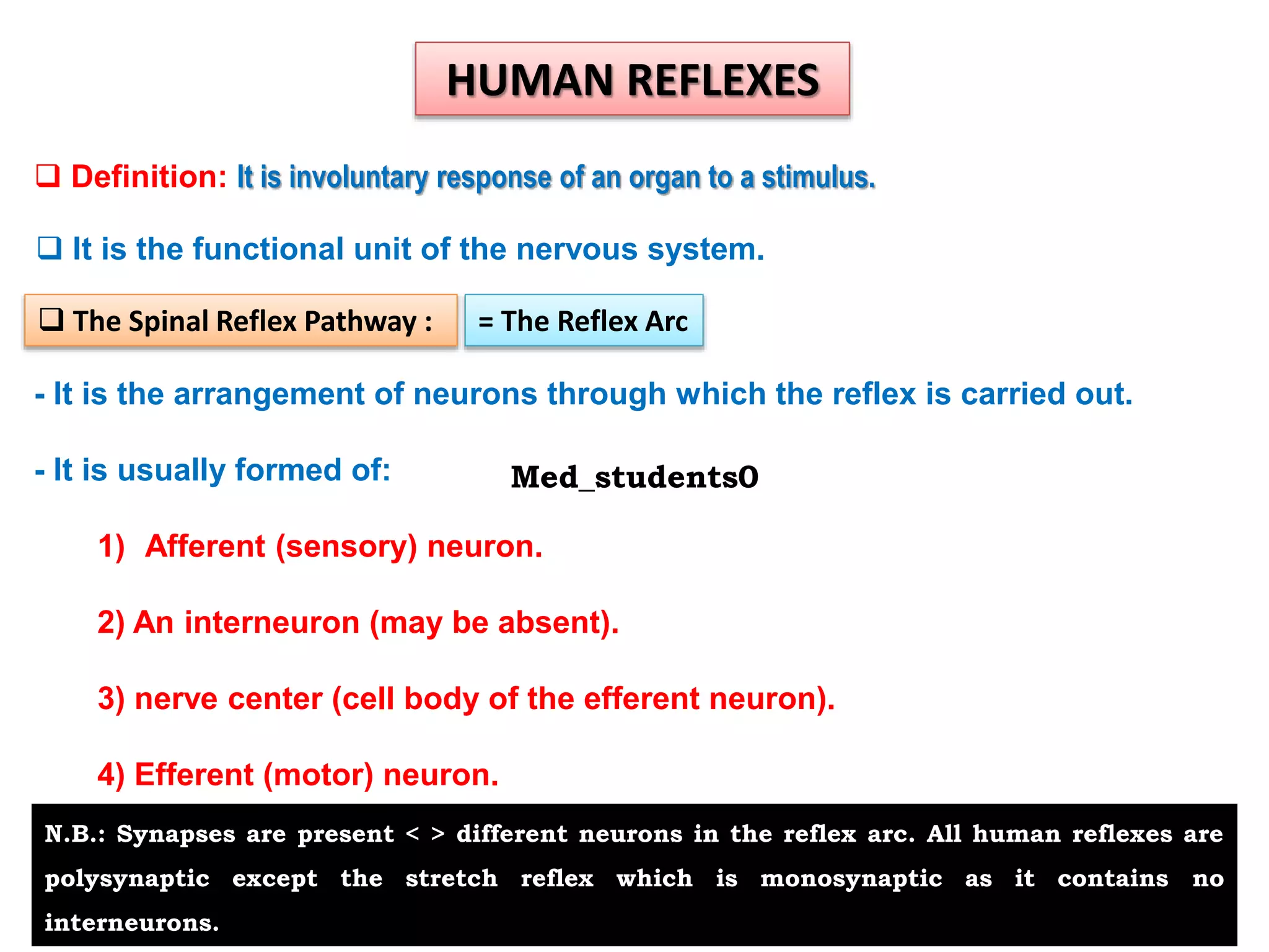 Human reflexes | PPTX