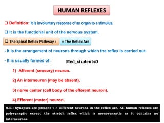 Human reflexes | PPTX